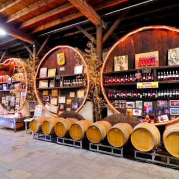 Pays d\\\'Oc | IGP, vins d\\\'indication géographique protégée | Pays d ...